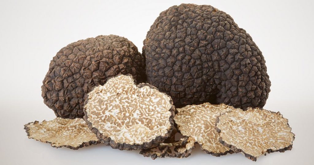 ¡Trufa! Todo lo que tienes que saber de este manjar