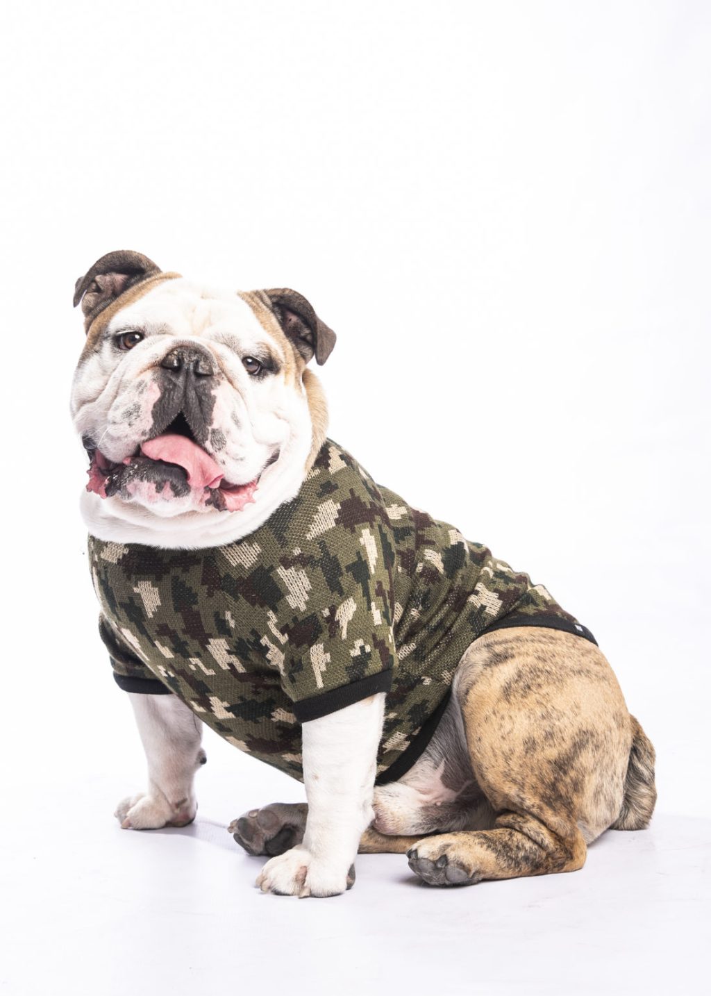 Bienvenido al mundo de WOOF: World of Our Friends