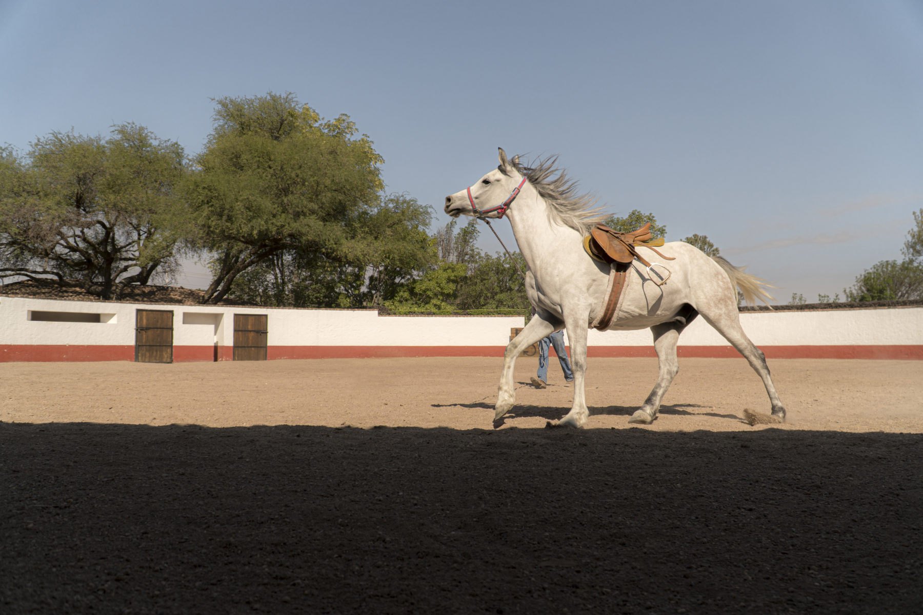 ¿Ya conoces Rancho La Loma? ¡No te pierdas su increíble propuesta!