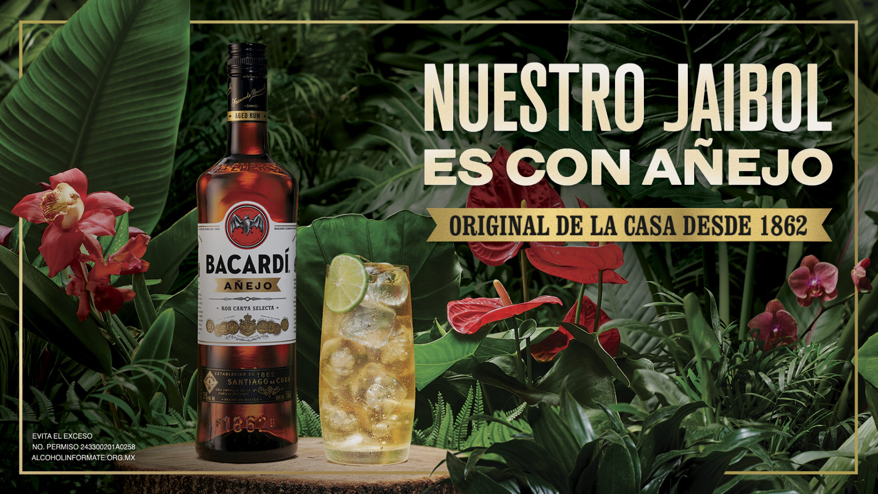 Jaibol Añejo: un ícono creado por Bacardí Añejo®