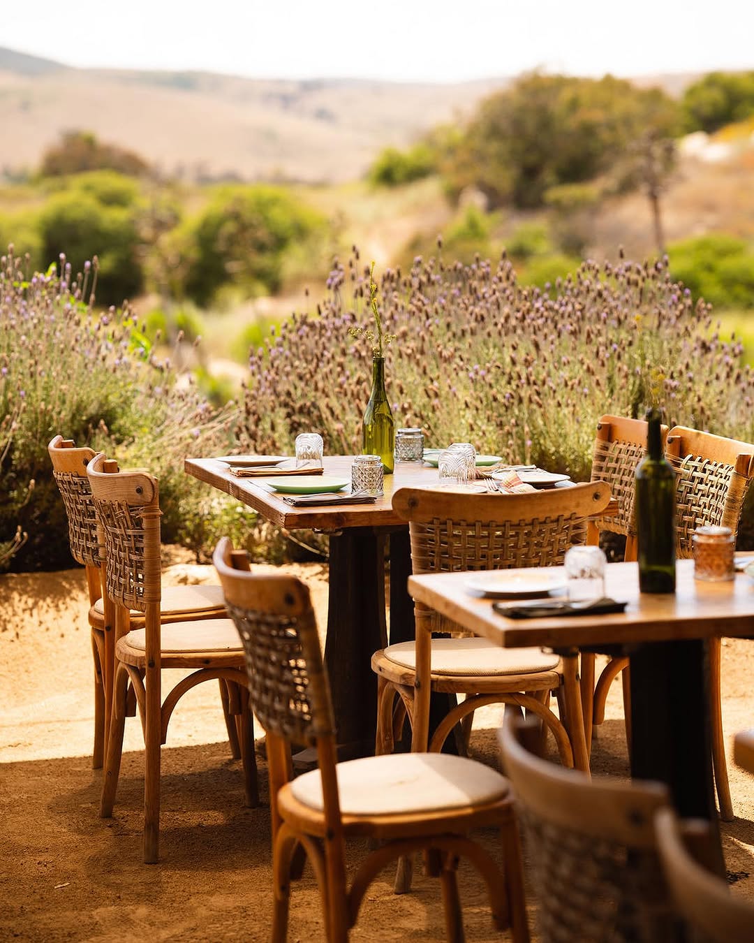 Los nueve mejores restaurantes de México, según Latin America´s 50 Best